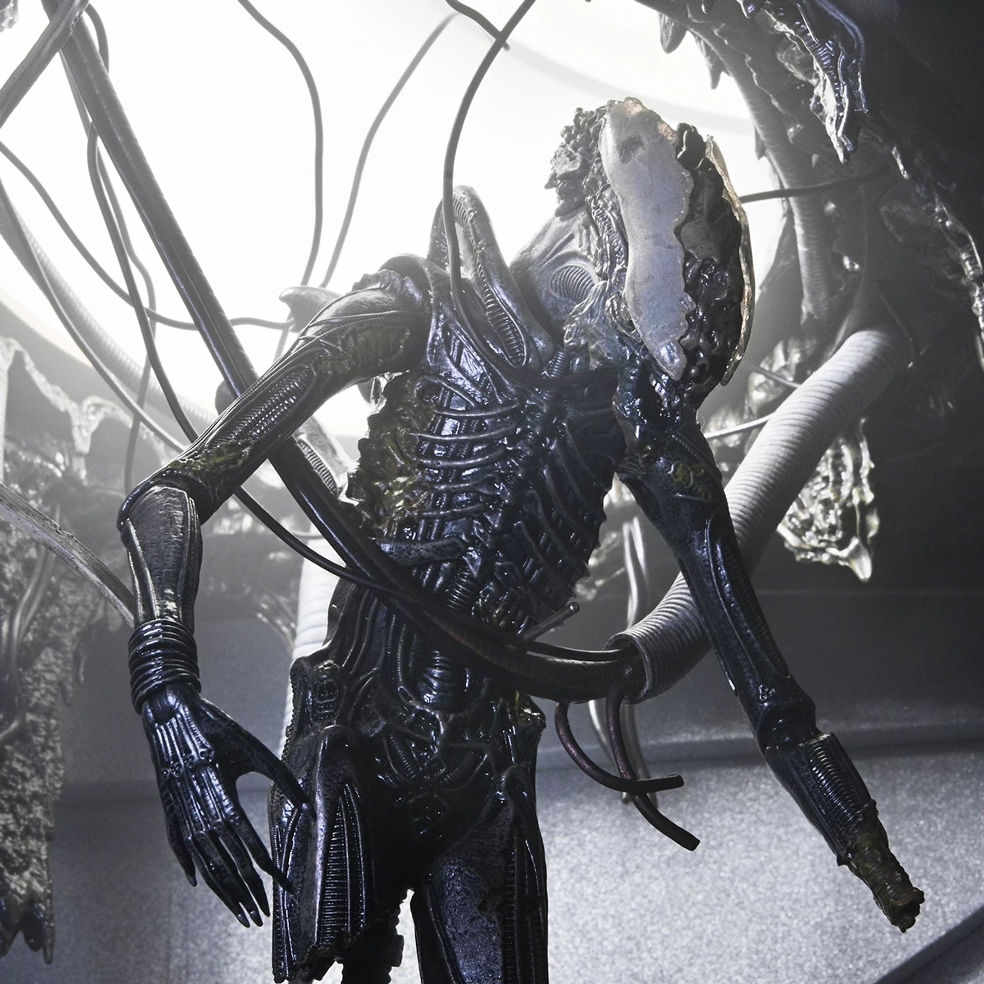 ALIEN: ROMULUS - 7" SCALE ACTION FIGURE - DELUXE SUSPENDED LAB XENOMOR ...